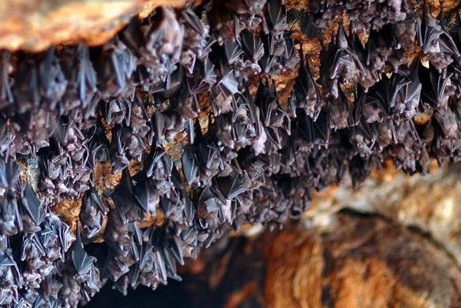 Bali Royal palaces (observe tour) - Who Will Love This Tour?