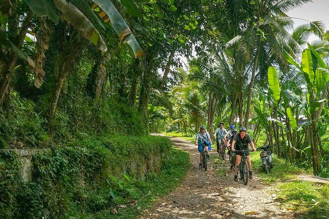 Bali Rural Eco Private Bike Tour in Ubud with Lunch - What We Love About This Tour