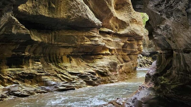 Bali: Rural Trekking and River Adventure Tour - A Detailed Look at the Tour