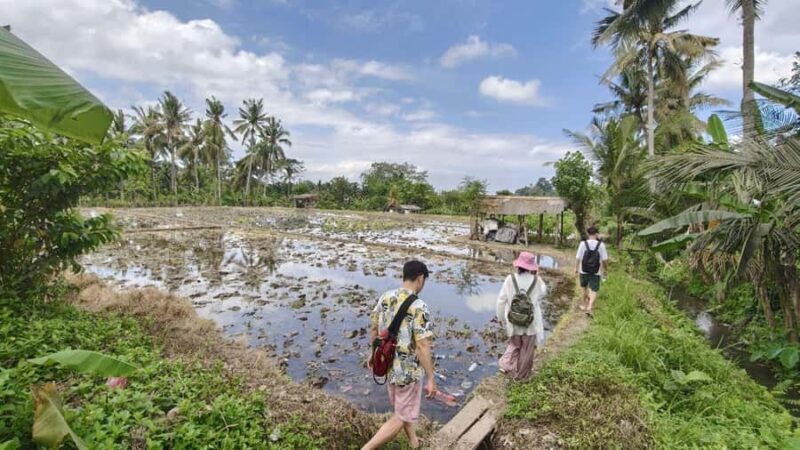Bali: Rural Trekking and River Adventure Tour - Who Is This Tour Best For?