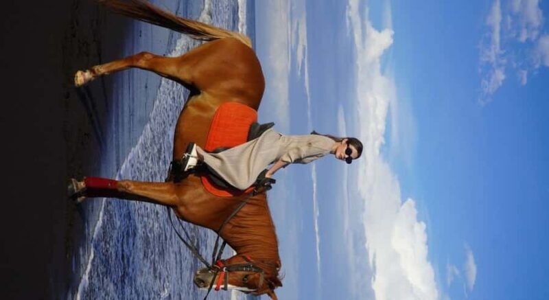 Bali: Saba Beach Horseback Riding Experience - Practical Details and Value