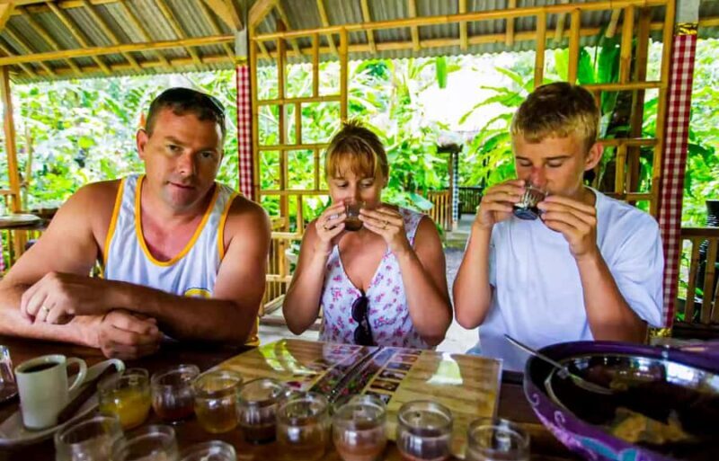 Bali: Sacred Lakes Temple, Hidden Waterfalls & Highland Calm - An Overview of the Experience