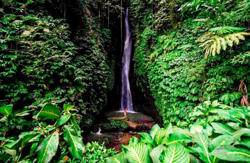 Bali: Sacred Lakes Temple, Hidden Waterfalls & Highland Calm - Authentic Feedback and Insights