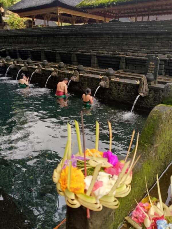 Bali: Sacred Monkey Forest, Rice Terraces & Ritual Tour - An Overview of the Experience