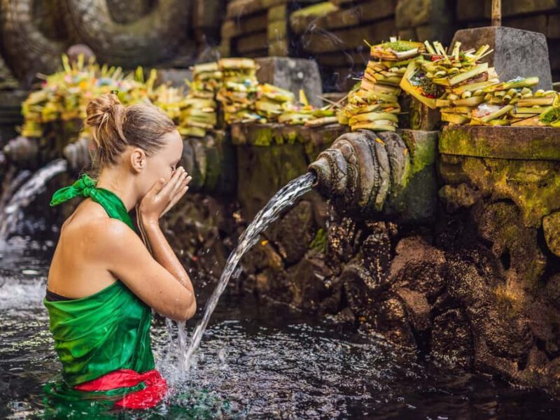 Bali : Sacred Temples & Rice Terraces full day, Private Tour - Key Points