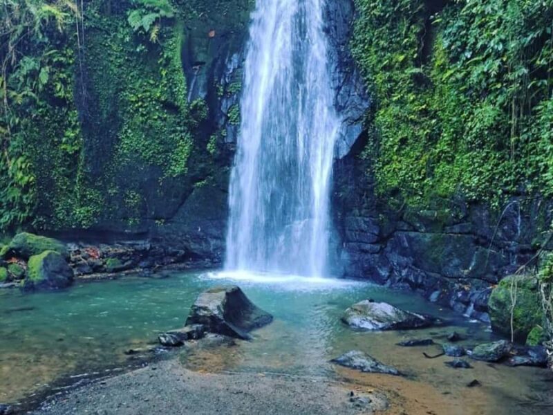 Bali : Sacred Temples & Rice Terraces full day, Private Tour - Authenticity and storytelling