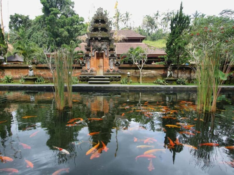 Bali : Sacred Temples & Rice Terraces full day, Private Tour - Final thoughts on value and suitability