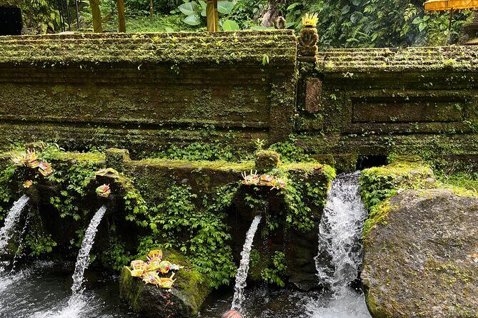 Bali Samanic Healing Purification Natural - Who Should Consider This Tour?