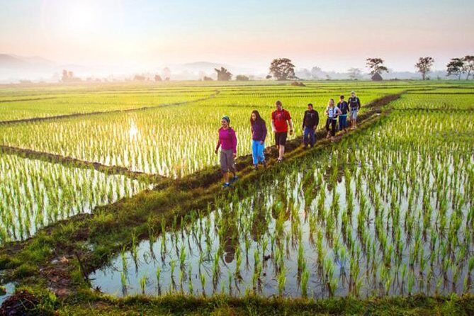 Bali Sambangan Waterfall, Rice Field, Secret Garden Tour - An In-Depth Look at the Tour