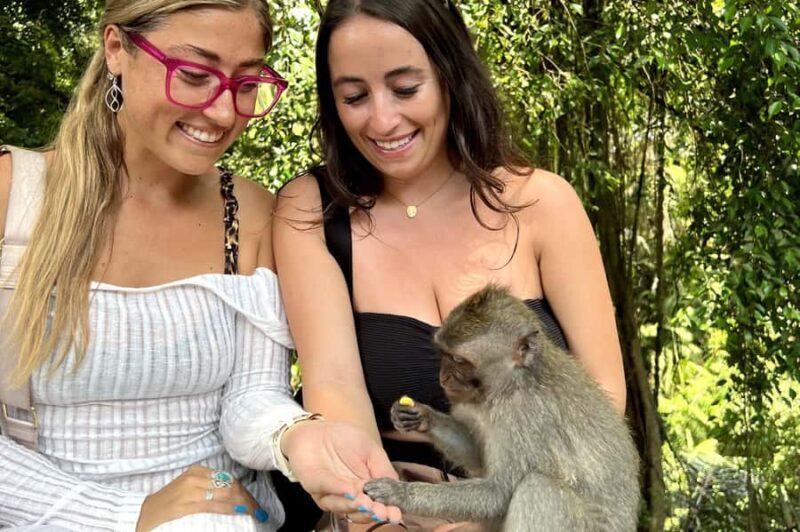 BALI :Sanctuary Monkey forest, rice terrace Water temple - Key Points
