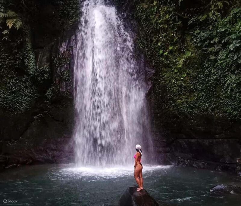 BALI :Sanctuary Monkey forest, rice terrace Water temple - Pricing and Value