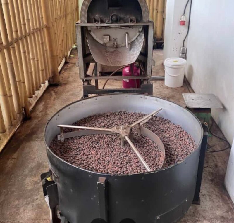 Bali: Sangeh Monkey Forest, Chocolate Factory & Temple Tour - Final Words