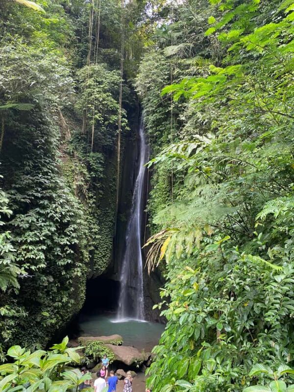 Bali: Sangeh Monkey Forest, Waterfall, & Temple Tour - A Closer Look at the Itinerary and What It Means for You