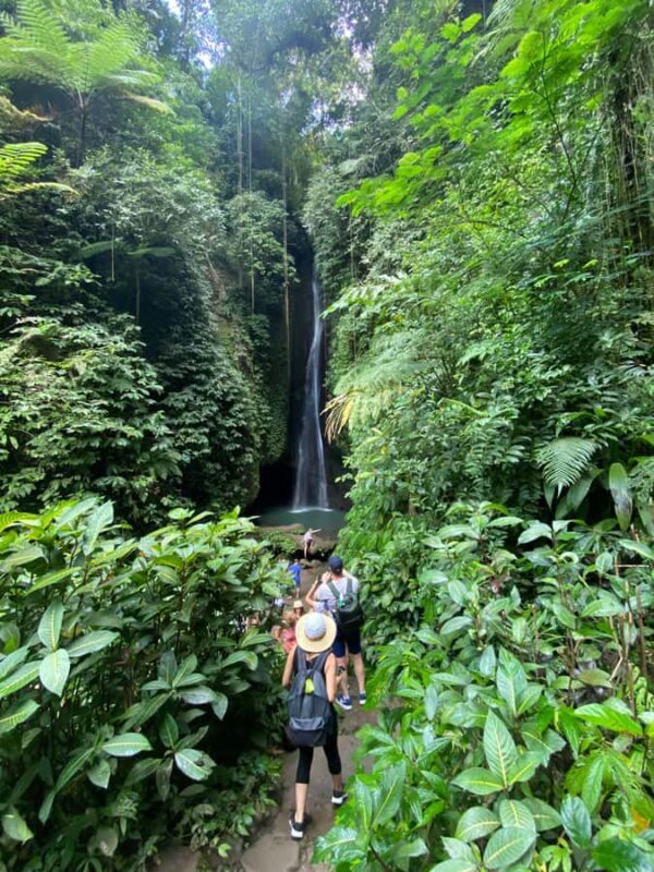 Bali: Sangeh Monkey Forest, Waterfall, & Temple Tour - Who’s This Tour Best For?