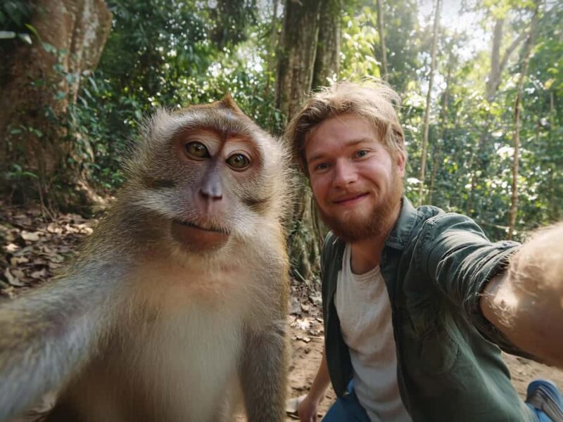 Bali: Sangeh, Taman Mumbul & Jatiluwih Private Day Tour - Key Points