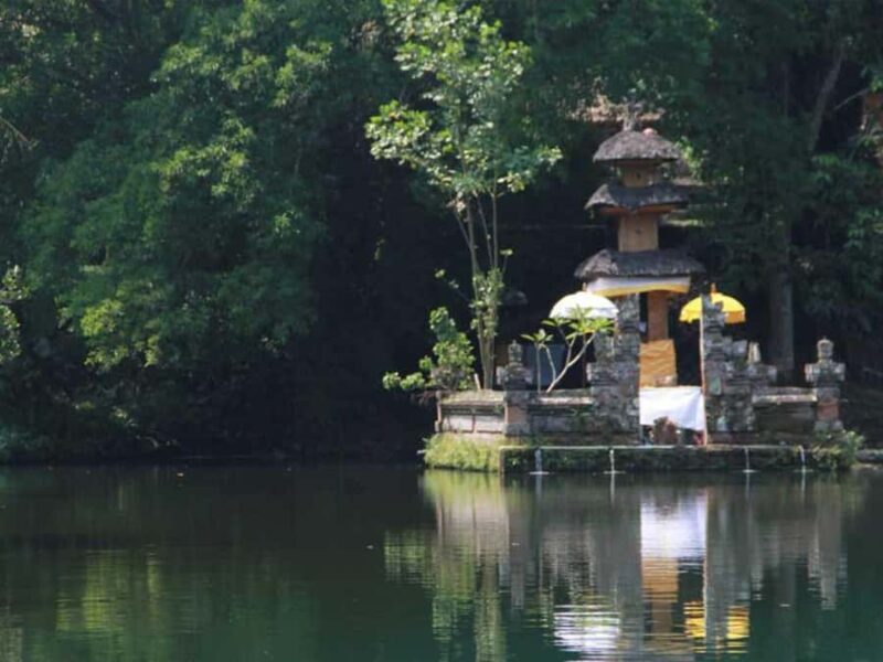 Bali: Sangeh, Taman Mumbul & Jatiluwih Private Day Tour - An In-Depth Look at the Bali: Sangeh, Taman Mumbul & Jatiluwih Tour