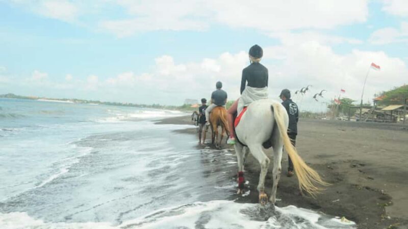 Bali: Sanur Horse Riding for Beginner Experience - Key Points