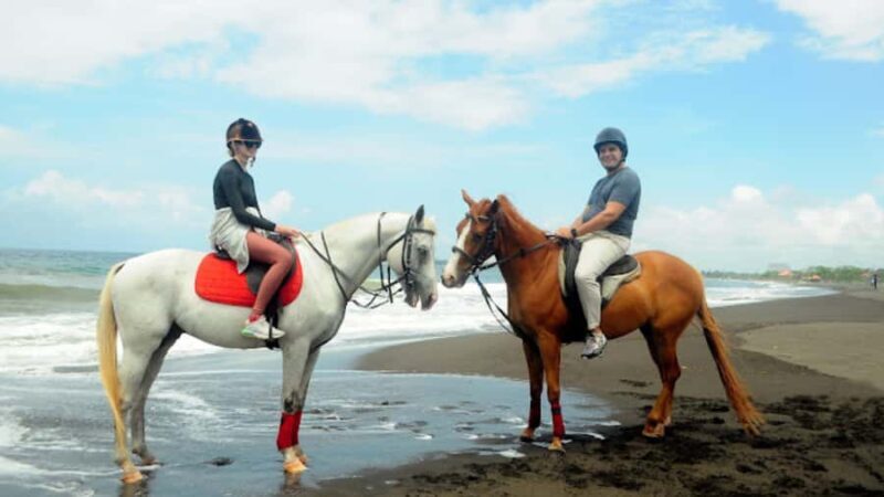 Bali: Sanur Horse Riding for Beginner Experience - What You Can Expect from Sanur Horse Riding
