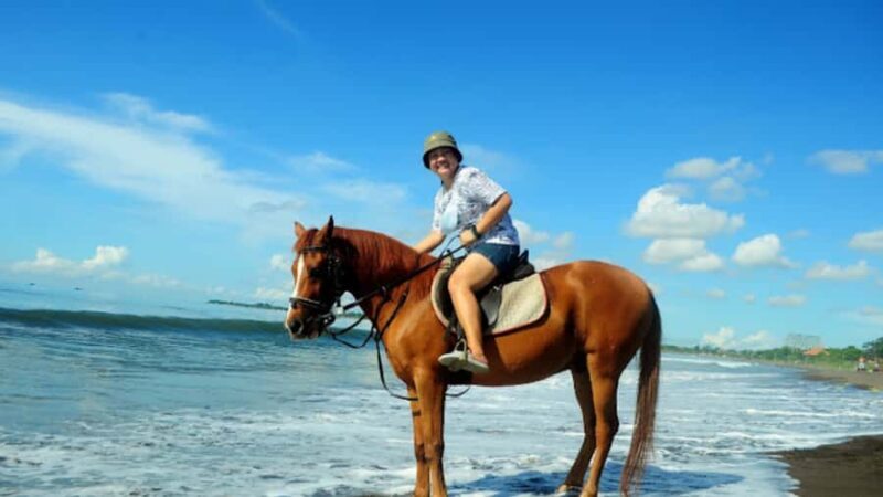 Bali: Sanur Horse Riding for Beginner Experience - The Sum Up