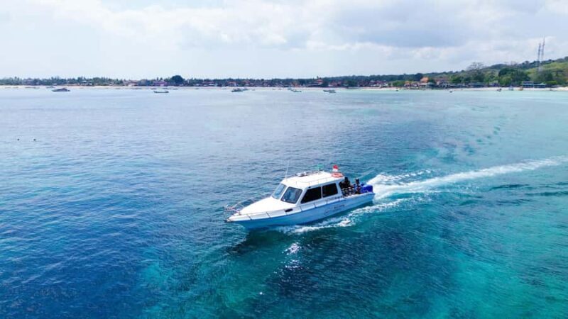 Bali Sanur: Scuba Diving day trip to Nusa Penida 3 dives - The Sum Up