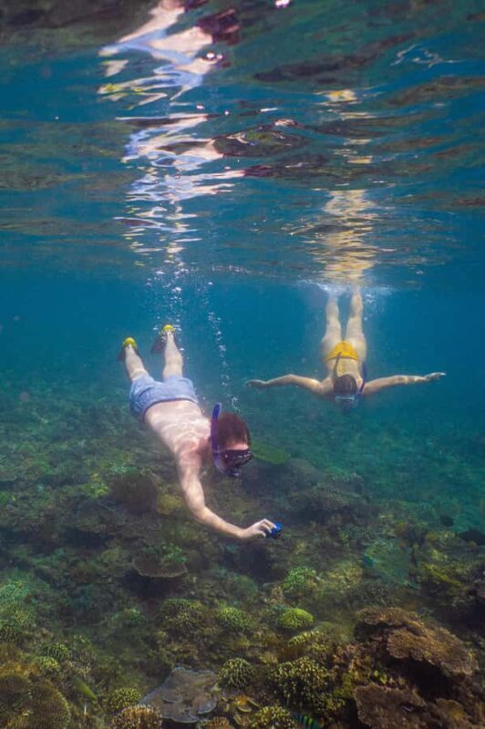 Bali Sanur: Snorkeling day trip to Nusa Penida 3 sites - An In-Depth Look at the Experience