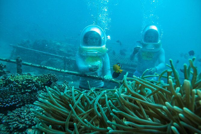 Bali Sea Walker Adventure in Tanjung Benoa - The Itinerary: What You Can Expect