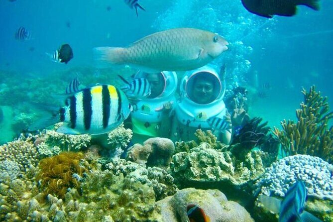 Bali Sea Walker - Key Points