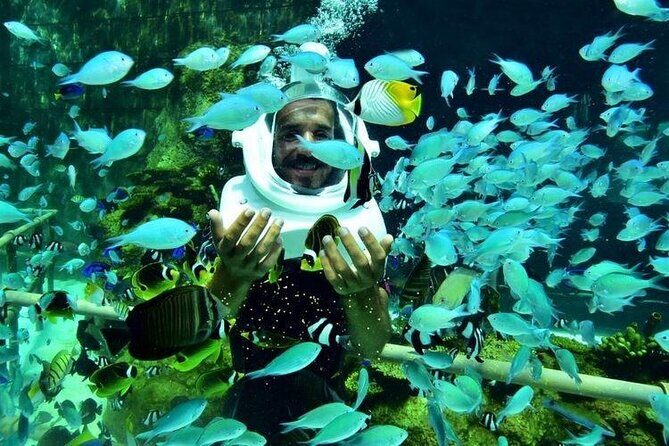 Bali Sea Walker under Water experience Watersport - What Do Travelers Say?