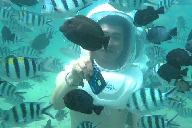 Bali Sea Walking Experience - The Sum Up: Who Will Love This Tour?