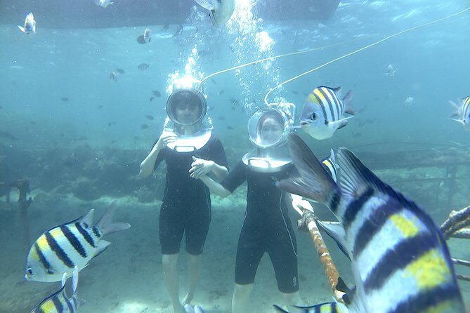 Bali Seawalker - Key Points