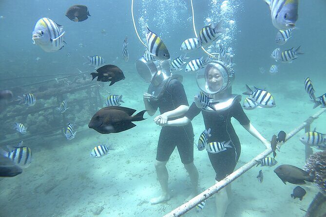 Bali Seawalker - The Practical Side: Costs, Group Size, and Booking