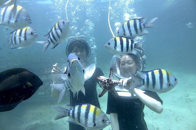 Bali Seawalker - Real Travelers’ Insights