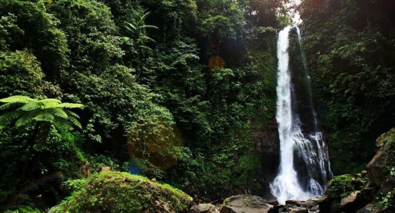 Bali: Secret and Untouristic Tour North West Bali. - Frequently Asked Questions