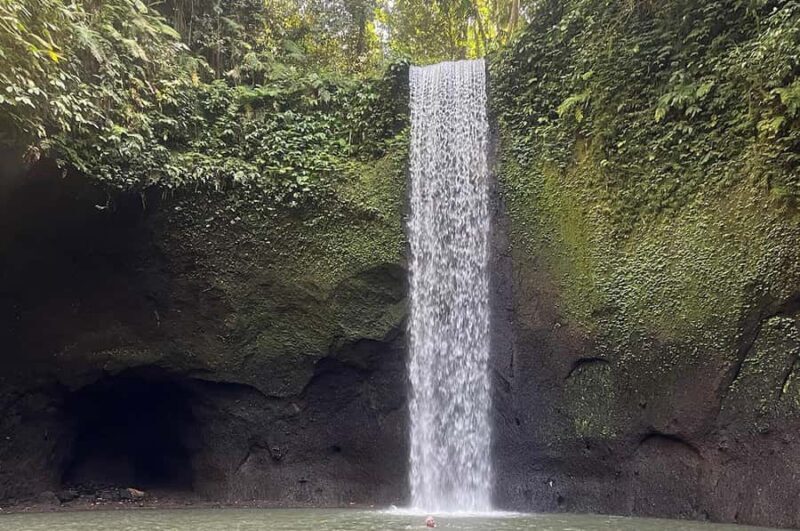 Bali: Secret Cascades & Tegalalang Sky Swing Tour - How Does It Compare in Value?