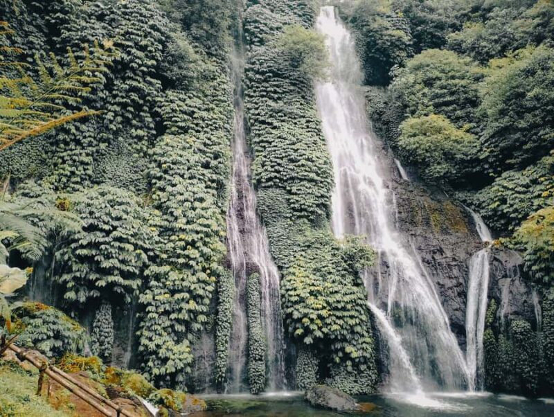 Bali: Sekumpul and Banyumala Waterfall Guided Trek - Key Points