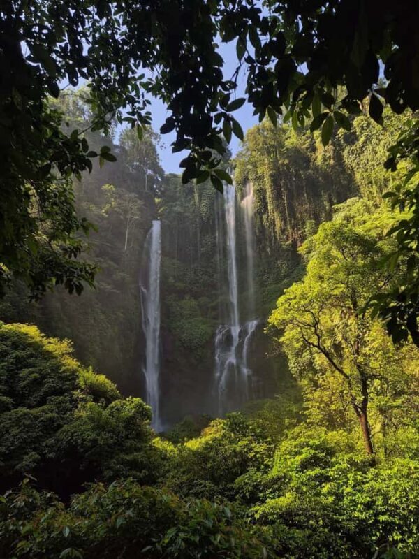 Bali: Sekumpul Water Fall Trekking With Local Guide - Why This Tour Is Worth It