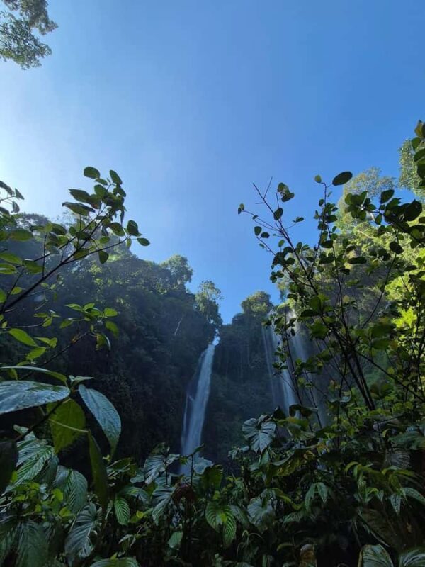 Bali: Sekumpul Water Fall Trekking With Local Guide - Final Thoughts