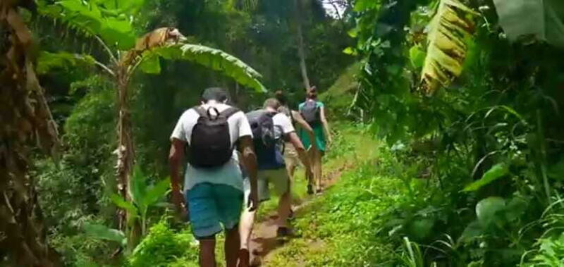 Bali: Sekumpul Waterfall and Fiji Waterfall Private Tour - Discover Bali’s Natural Wonders with the Sekumpul and Fiji Waterfall Private Tour