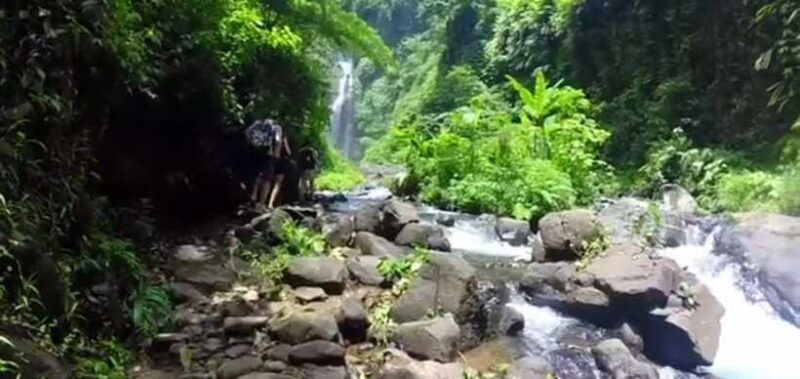 Bali: Sekumpul Waterfall and Fiji Waterfall Private Tour - Key Points
