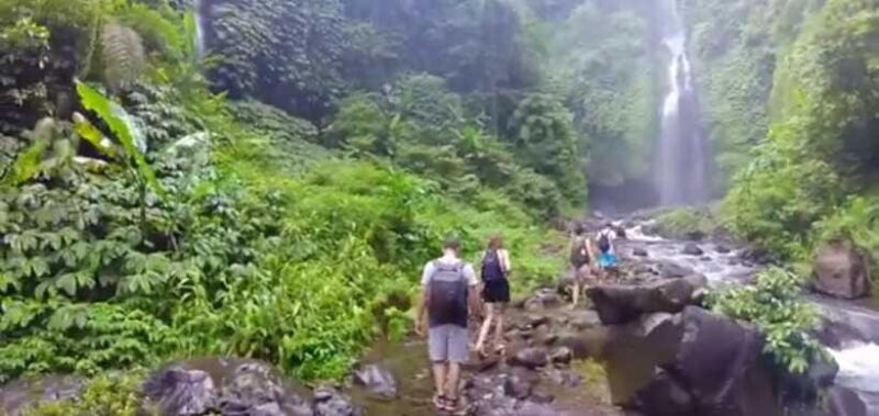 Bali: Sekumpul Waterfall and Fiji Waterfall Private Tour - Who Will Love This Tour?