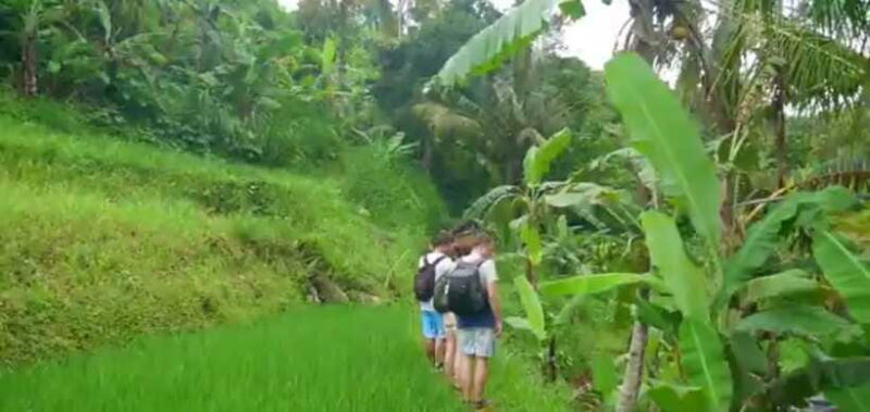 Bali: Sekumpul Waterfall and Fiji Waterfall Private Tour - FAQ