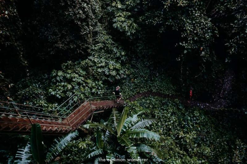 Bali: Sekumpul Waterfalls and Ulundanu Beratan Temple - Authentic Bali: What You Get