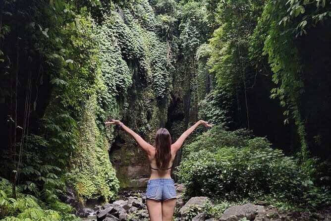 Bali Sekumpul with Fiji Waterfall & Bedugul Temple (Private Tour) - Who Should Consider This Tour?