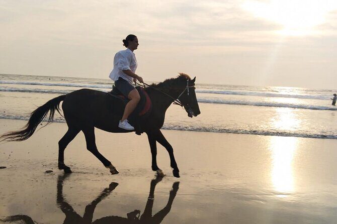Bali Seminyak Beach Horse Riding with Private Pick Up - The Itinerary in Detail