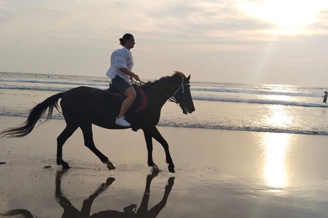 Bali Seminyak Beach Horse Riding with Private Pick Up - Who Should Book This Tour?