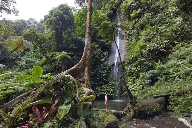 Bali Seven Wonder Waterfalls Trekking - FAQ