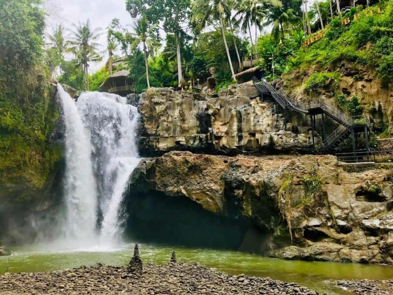 Bali: Shared or Private Highlights Ubud with Cretya Jungle - What to Expect in Terms Practicalities