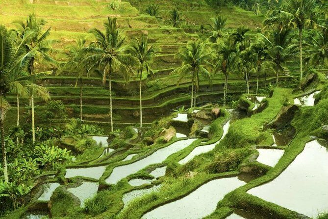 Bali Shore Excursion : Customize Private Full day Tours - Who Will Love This Tour?