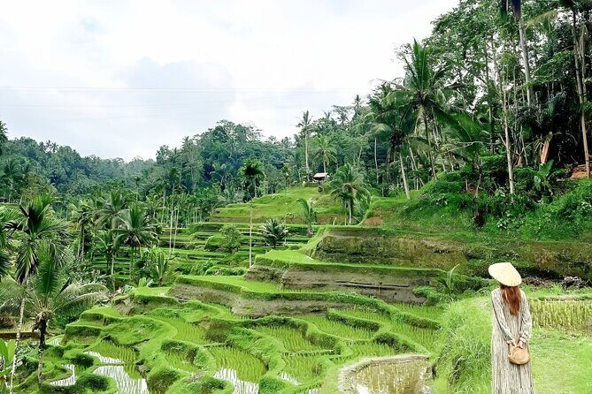 Bali Shore Excursions : Best of Bali Tour - Final Thoughts