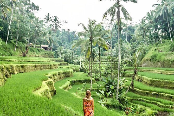Bali Shore Excursions : Best of Bali Tour - FAQ